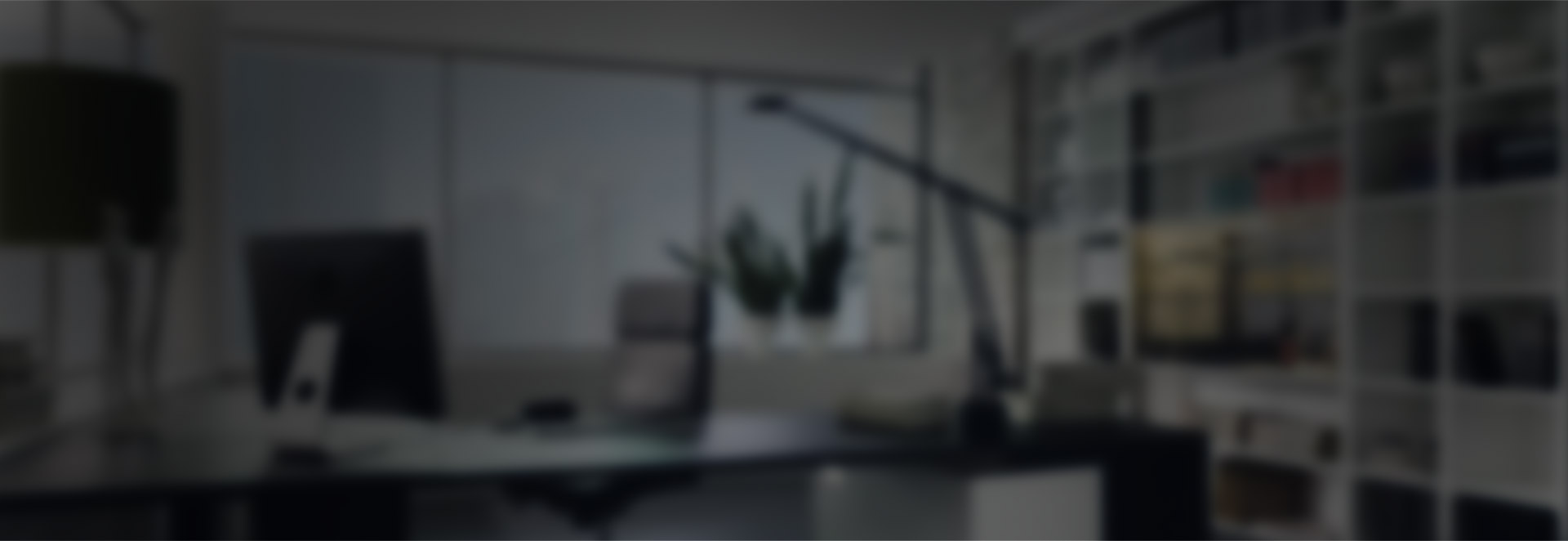 RIMSS Dealership Management Software