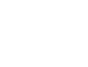 RIMSS Dealership Management Software